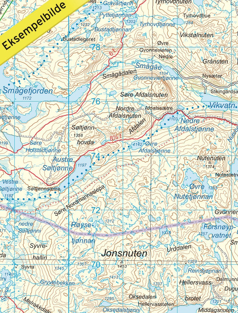Norvège - Hardangervidda Øst - 1:100 000 : carte de randonnée Turkart n ...