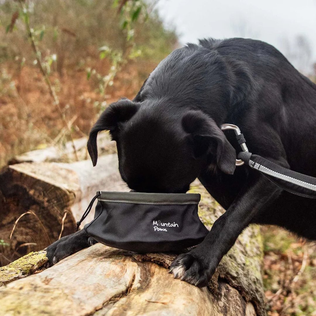 gamelle chien légère et pliable - Moutain Paws Dog Collapsible Food Bowl