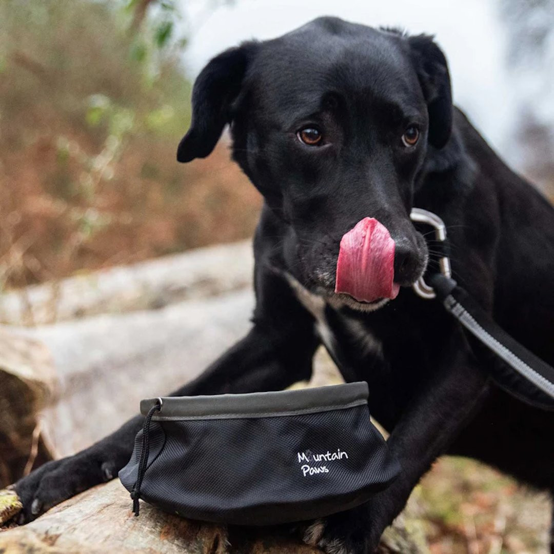 gamelle chien légère et pliable - Moutain Paws Dog Collapsible Food Bowl