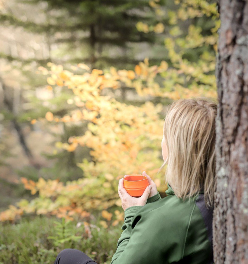 Wildo Original FoldACup : tasse pliable et incassable. Gobelet ...