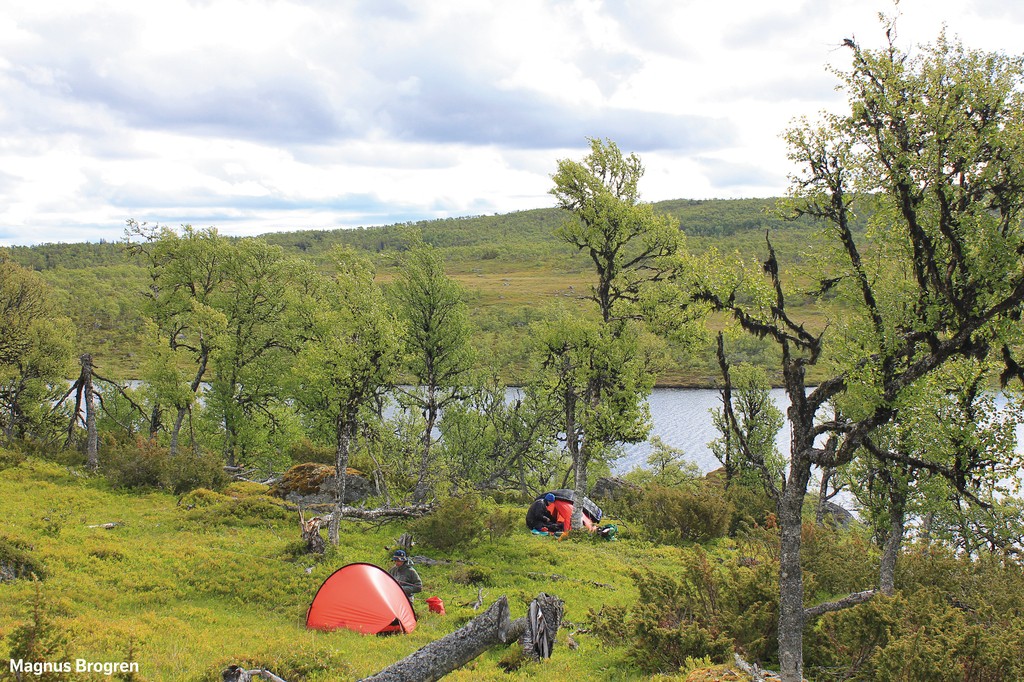 Tente Hilleberg Enan - 1 personne - 3 saisons - ultra légère